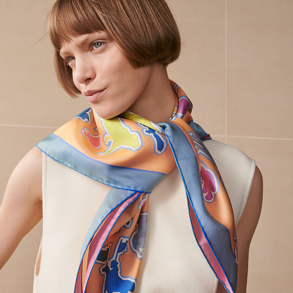 Caracteristick double face scarf 90 | Hermès Mainland China
